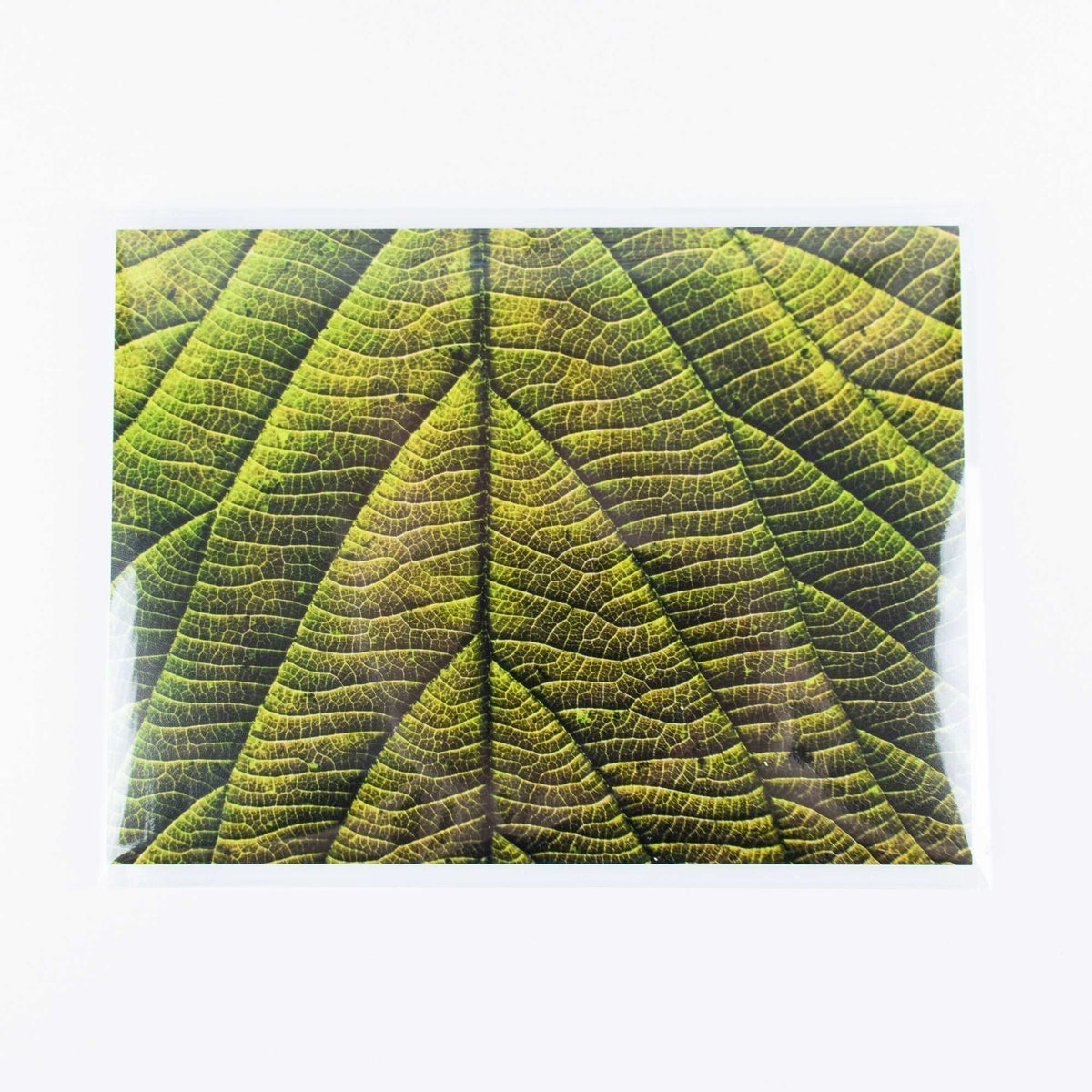 14x18 Retail Ready Prints | The Stackhouse Printery